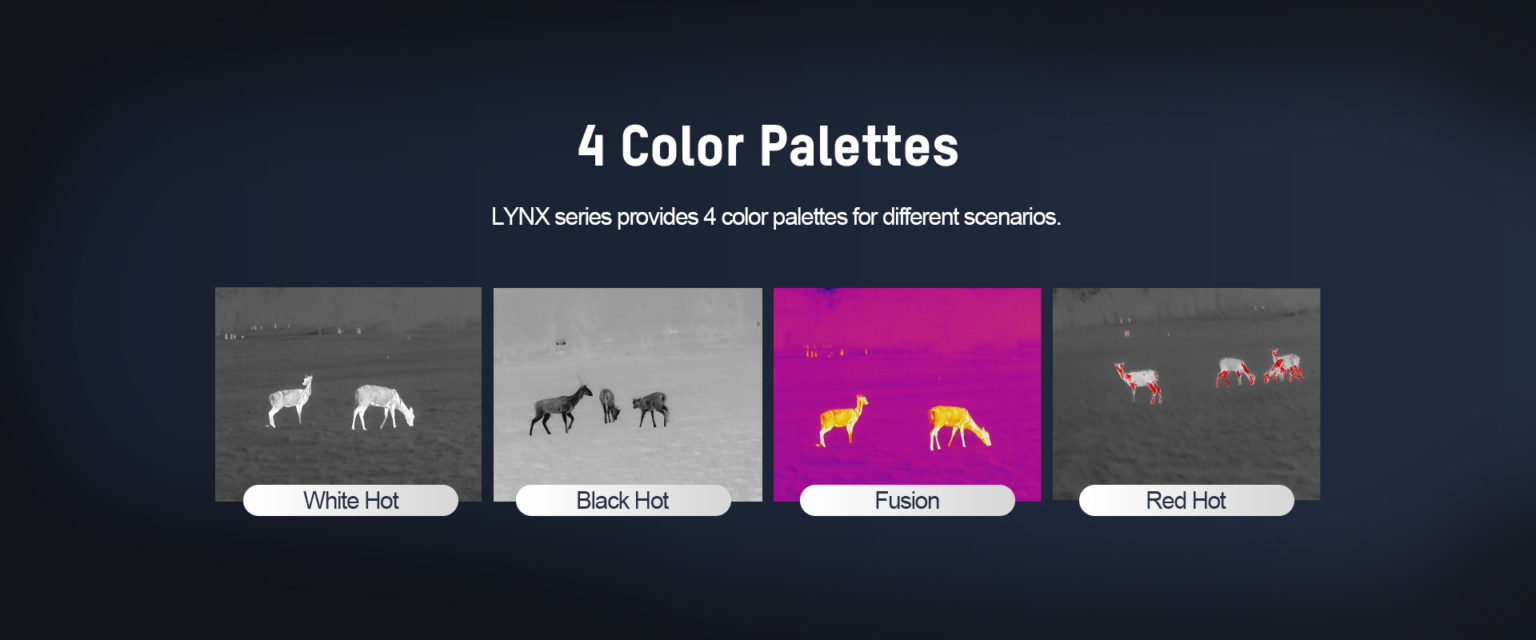06-4 Color Palettes_LYNX - Marcin Dobas